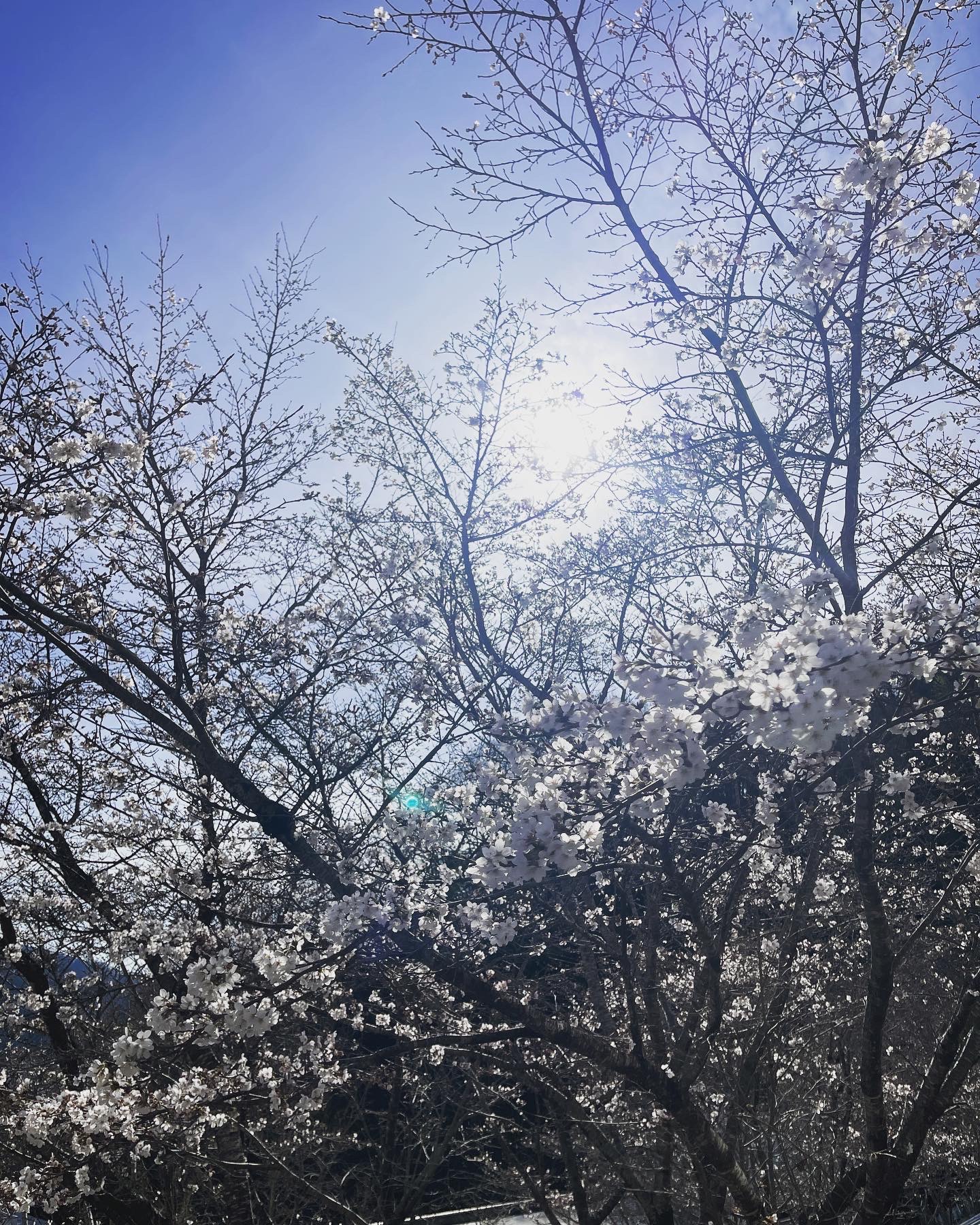 大学院修士課程を修了いたしました♪ | StudioTAIKA