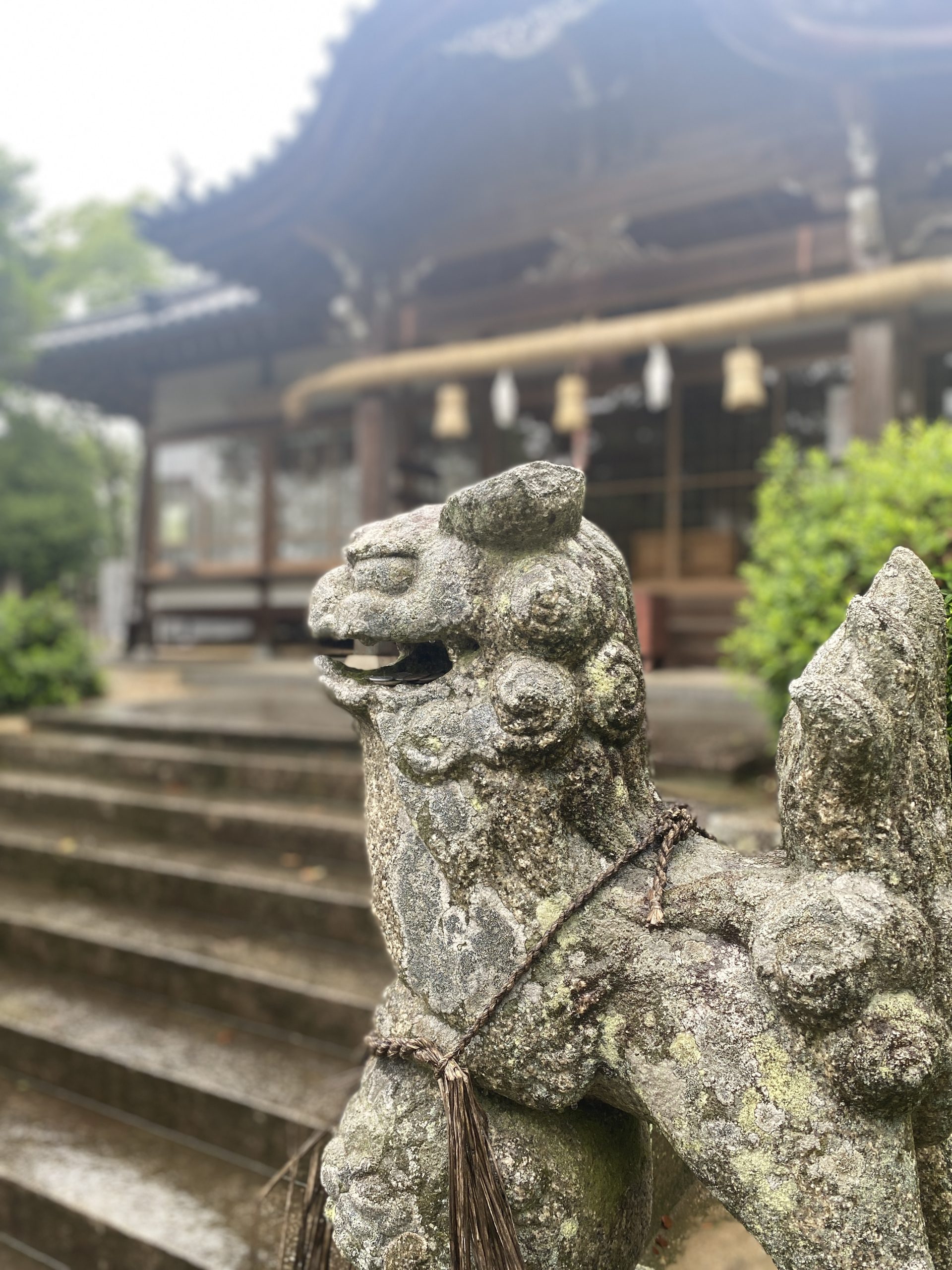 1日、お参りに行ってきました。 | StudioTAIKA