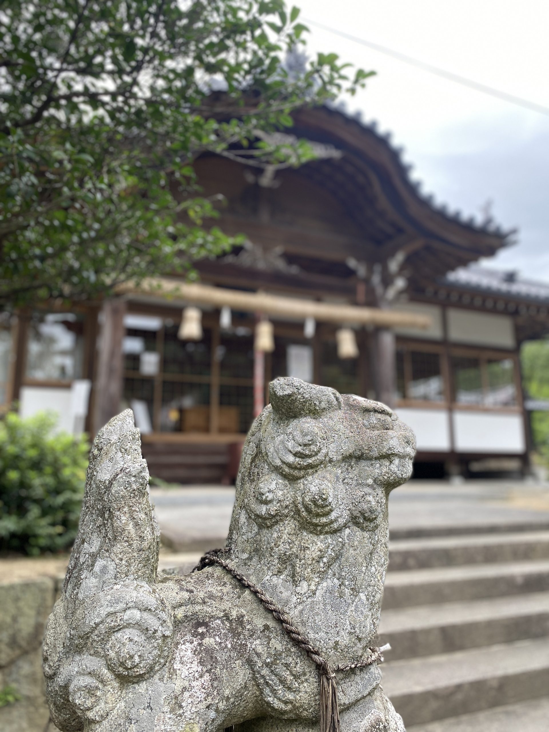 9月のお参り | StudioTAIKA